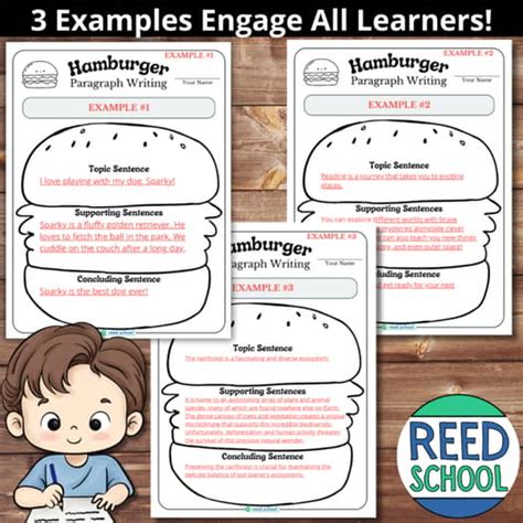 Hamburger Paragraph Writing Template And Graphic Organizer Free By Reed