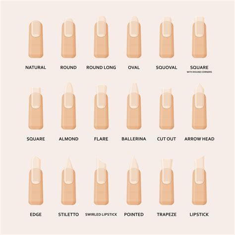 Nail Shape Infographic Memorandum Nyc Fashion And Lifestyle Blog For