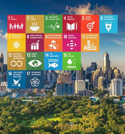 Our Value Creation Approach Msig