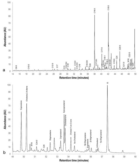 gc ms chromatogram of organic residue divided into 2 segments a