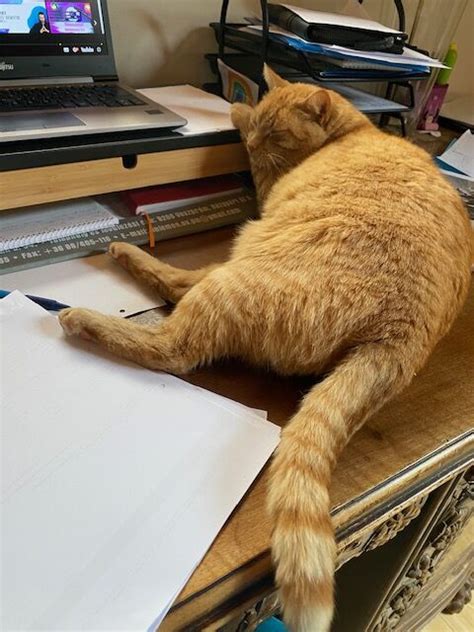 Qa Qaengineer Softwaretestengineer Testengineer Testing Jobsearch