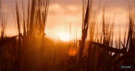 Homepage Forked Codesandbox