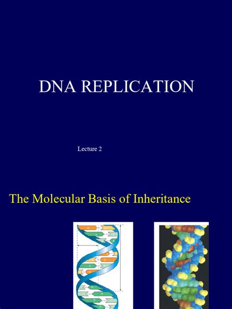 Dna Replication Lecture 2 Pdf Dna Replication Dna