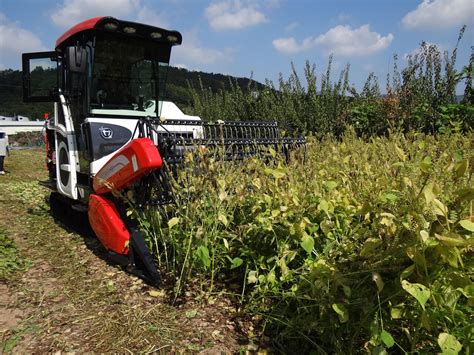 들깨 베기‧탈곡‧고르기까지 콤바인으로 한 번에 해결 들깨 베기‧탈곡‧고르기까지 콤바인으로 한 번에 해결