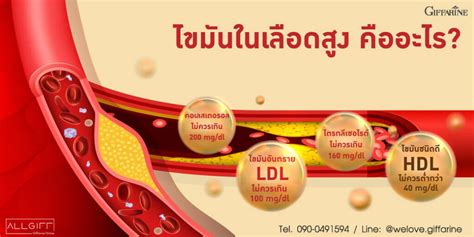ไขมันในเลือดสูง คืออะไร Allf