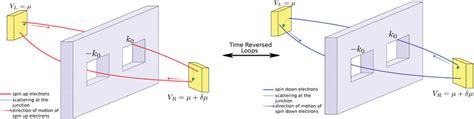 Diagrammatic Representation Of The Interference Process The Dotted Download Scientific Diagram