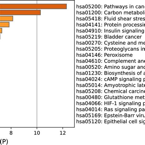 Enrichment Analysis Of Kegg Pathways For The Target Proteins Of Grr