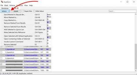 Dupeguru Manage Duplicate Files Like A Master 2024 Guide — Rapidseedbox