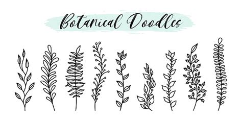 손으로 그린 낙서 벡터 식물과 꽃 요소 세트 라인 스타일 천연 스케치 식물 가지 잎 소셜 미디어 디자인에 대한 열매 배지 라벨 브랜딩 0명에 대한 스톡 벡터 아트 및 기타