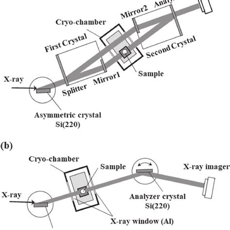 Schematic Diagram Showing The Experimental Setup For Phase Contrast Download Scientific Diagram