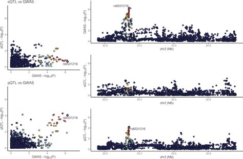 Integrating Genetics Transcriptomics And Proteomics In Lung Tissue To