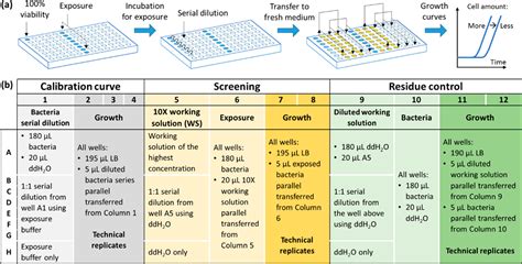 Bacterial Viability Testing At Kasey Bailey Blog