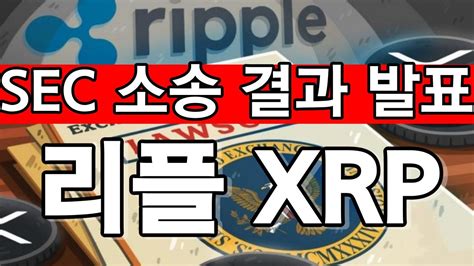 리플 드디어 Sec 소송 결과 발표 고생 많으 셨습니다 리플코인 리플소송 도지코인 베이비도지코인 리플코인