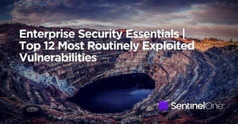 Enterprise Security Essentials Top 12 Most Routinely Exploited Vulnerabilities