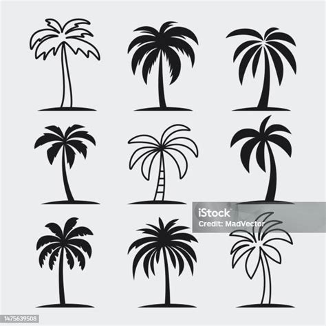 벡터 야자수 야자수 아이콘 집합 격리 팜 실루엣 열대 휴가 해변 여름 개념에 대한 디자인 템플릿입니다 벡터 그림입니다 전면 모습 0명에 대한 스톡 벡터 아트 및 기타 이미지