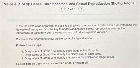Solved Meiosis 1 ﻿of 3 Genes Chromosomes And Sexual