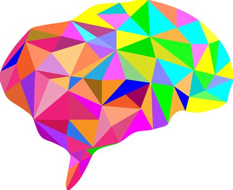 Brain Anatomy Thinking Idea For Decoration Abstract Background 26910169 Png