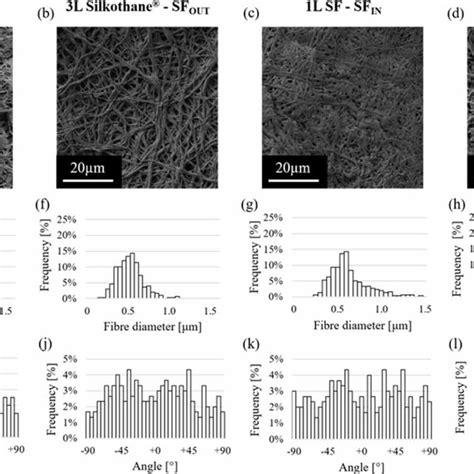Morphological Analysis Of Silk Fibroin Fibres High Magnification Sem
