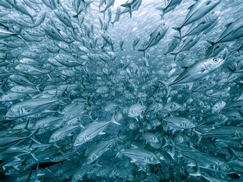 How To Kubectl Loadbalancer And Configure Nginx Ingress Controller For