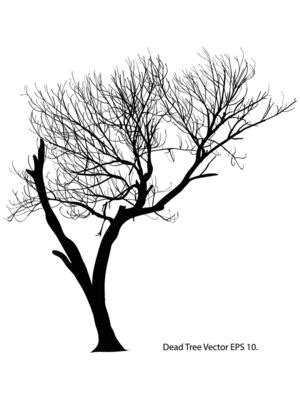 Tree Without Leaves Vector Art Icons And Graphics For Free Download