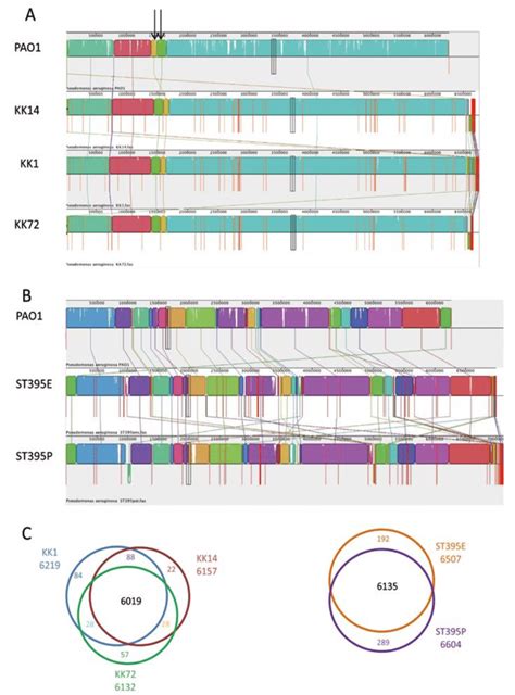 Alignment Of Genomes Using Mauve Pairwise Alignment Between The Three