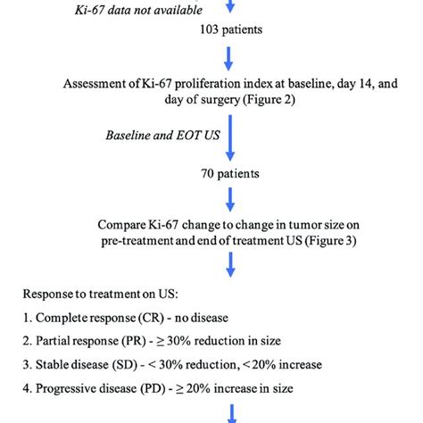 Graphical Depiction Of Study Methods Eot End Of Treatment Us