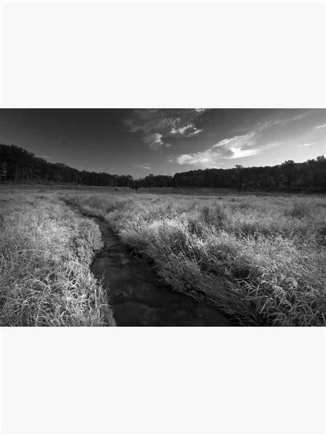 Sex With Your Mom Poster For Sale By Elvisk Redbubble