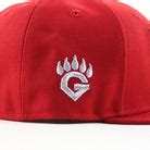 Fresno Grizzlies Grizzlies Paw Patch New Era 59fifty Fitted Hat Red G