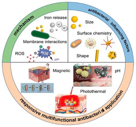 作为抗菌剂的金属基纳米颗粒：综述 Acs Applied Nano Materials X Mol