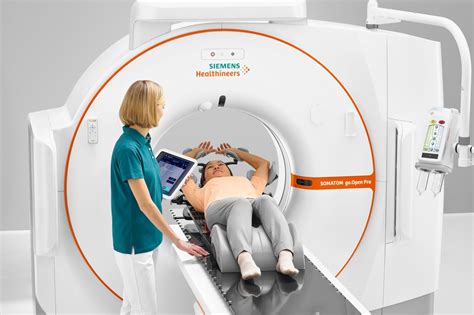 지멘스헬시니어스 · Customer Service Representative Intern Data Team In This Work · 인디스워크