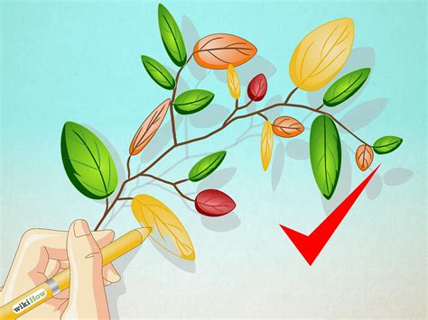 How To Draw Leaves Steps With Pictures WikiHow