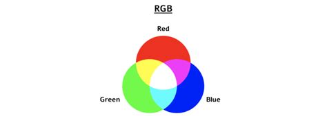 CSS Accent Color The Key To Stunning Form Design A Complete Guide LambdaTest