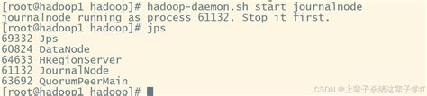 Hadoop Hadoop Csdn