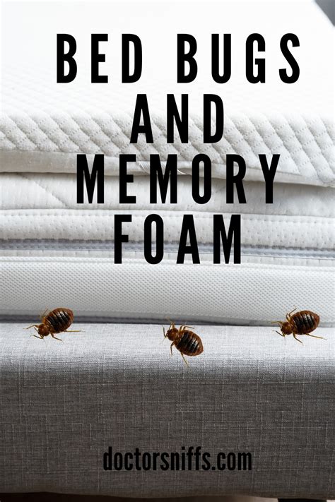 Scabies Vs Bed Bugs Quick Guide To Spot The Differences Artofit