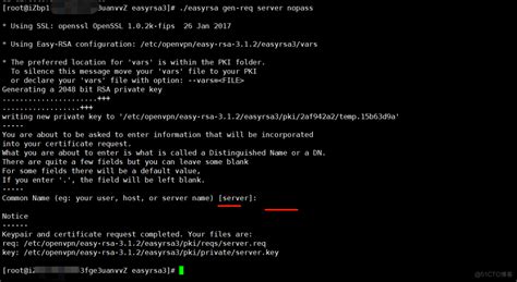 Easy Ras 312的使用做个笔记独钓渔的技术博客51cto博客