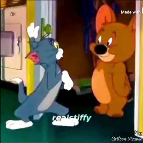 Tom The Cat Meme Hài Hước Và Ngộ Nghĩnh [click Ngay để Xem Thêm ] Chùa Phước Huệ