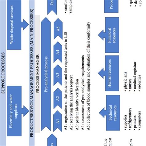Processes Diagram And Schematic Representation Of The Pre Analytical Download Scientific