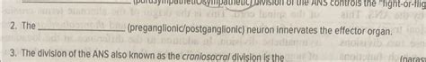 Solved The Preganglionicpostganglionic ﻿neuron Innervates