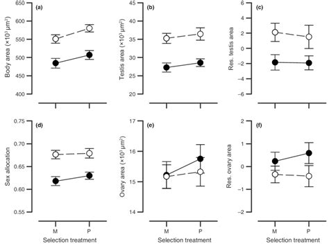 Effects Of Enforced Monogamy On Gross Morphology And Sex Allocation In