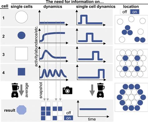 Continuous Multiplexed Spatial Single Cell Quantification Is Required Download Scientific