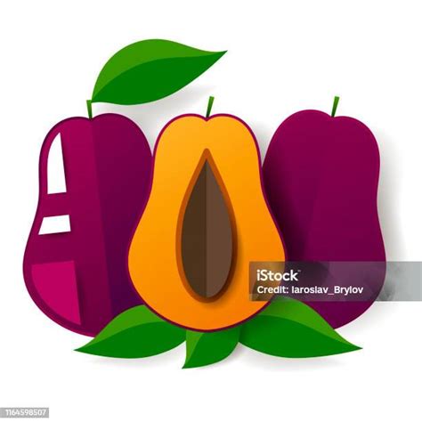 신선한 육즙이 많은 매실 잎이 있는 다채로운 반과 전체 매실 주스 나 잼에 적합합니다 0명에 대한 스톡 벡터 아트 및 기타 이미지 0명 건강한 식생활 과일 Istock