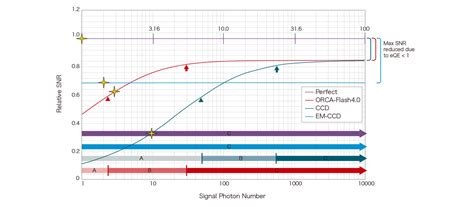 Scientific Cmos Scmos Image Sensor Hamamatsu Photonics
