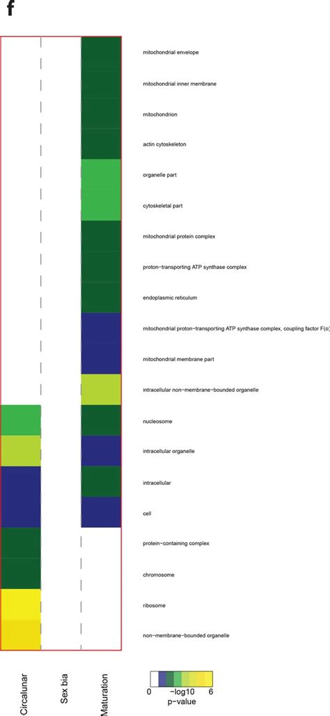Figures And Data In Combined Transcriptome And Proteome Profiling Reveals Specific Molecular