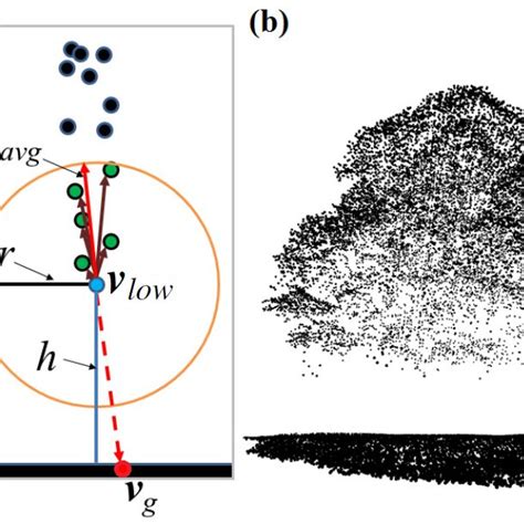 Front View Of A Group Of Trees Reconstructed From Airborne Lidar Point Download Scientific