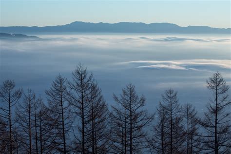 甘利山の雲海 By Takumax777 （id：8286811） 写真共有サイトphotohito