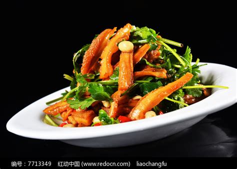 香菜拌牛肚高清图片下载红动中国