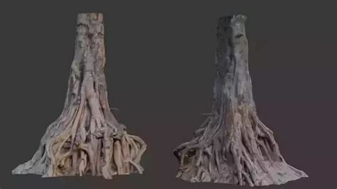 3d Model Exposed Tree Roots Scan Vr Ar Low Poly Cgtrader
