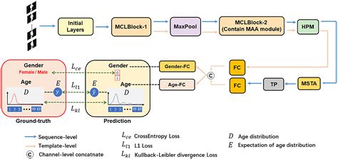attention‐aware spatio‐temporal learning for multi‐view gait‐based age