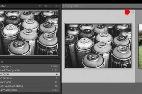 How To Take Control Of Lightroom Classic S Grid View