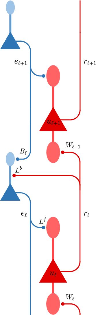 Figure 1 From Backpropagation Through Space Time And The Brain Semantic Scholar